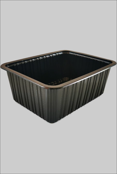 Pun - 17 (FV2 Ex-Deep Punnet) | XPro Packaging Limited