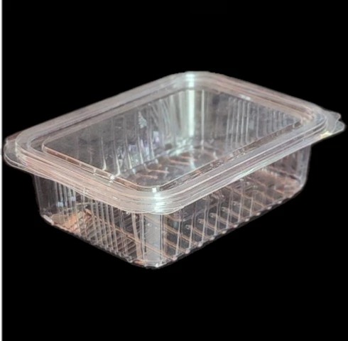 PET-10CLR (PET 750cc Clear Hinged Container) | XPro Packaging Limited