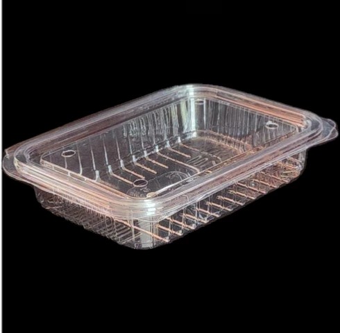 PET-9CLR (PET 500cc Clear Hinged Container) | XPro Packaging Limited